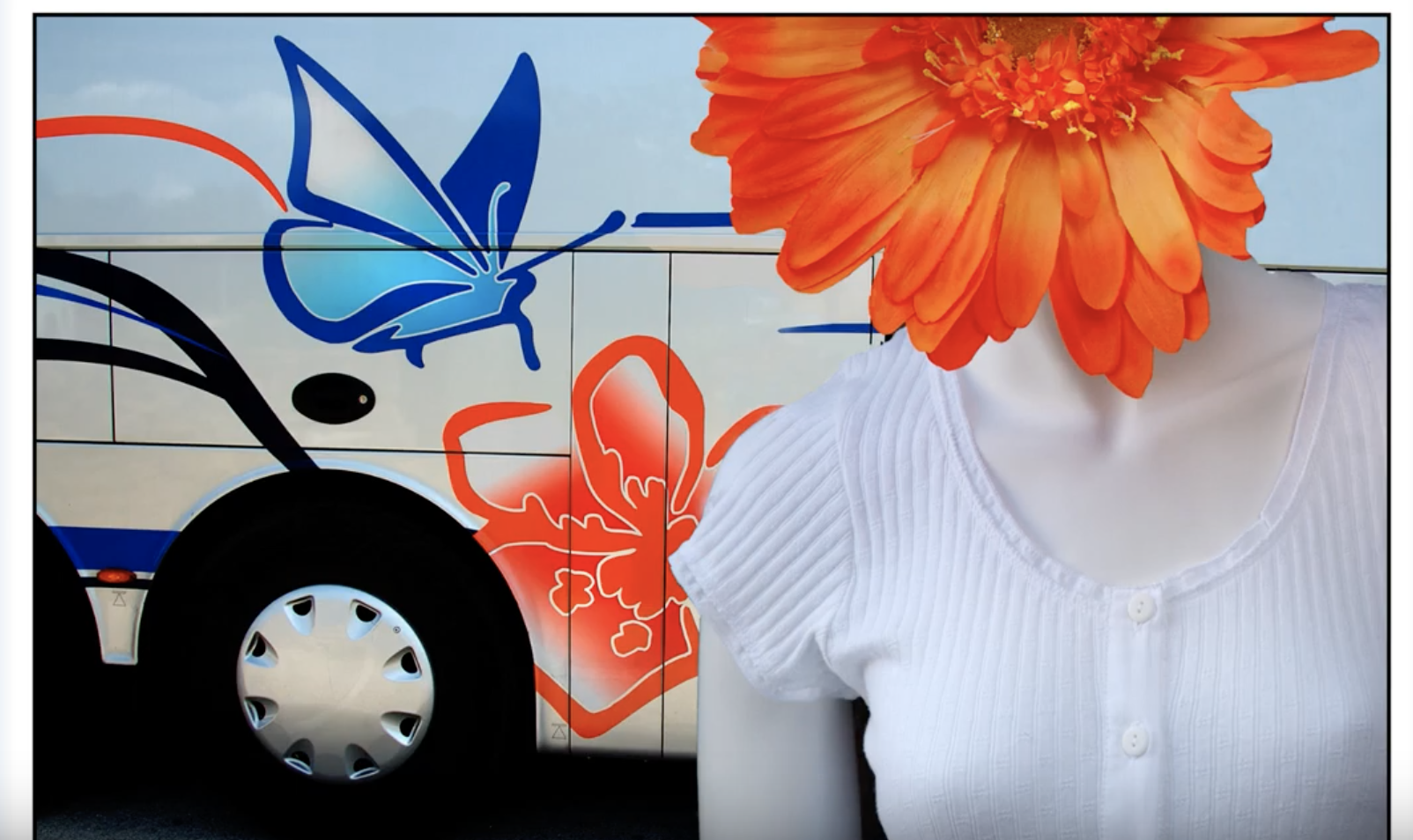 Celebrating the work of late photographer, Bill Wisden MBE - Latest TV ...